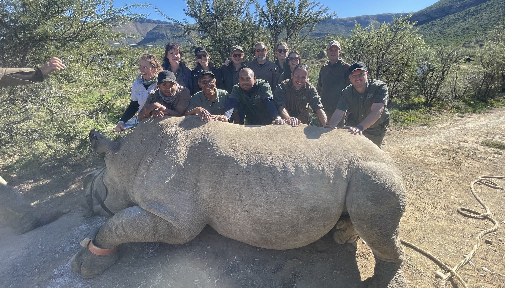 Collaboration : 2024 | Veterinary Conservation Coalition