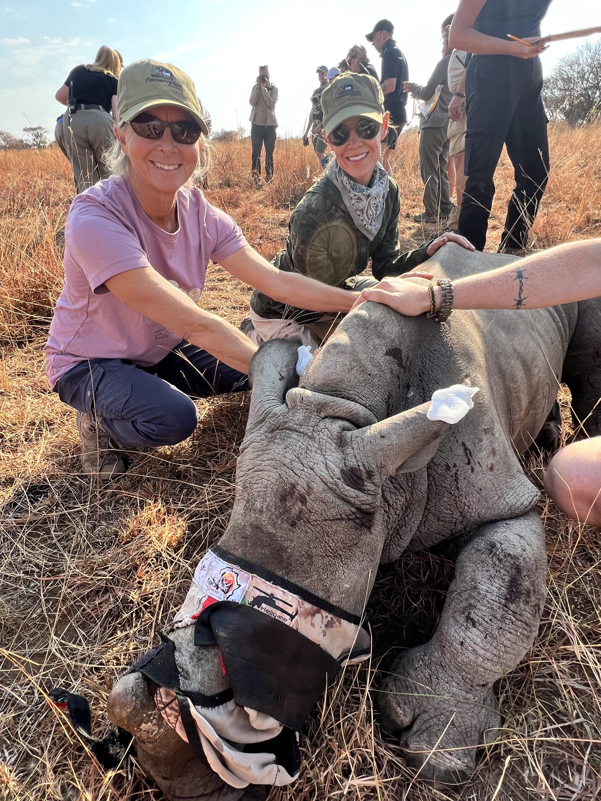 Another Successful Conservation Trip to Africa | Veterinary Conservation Coalition